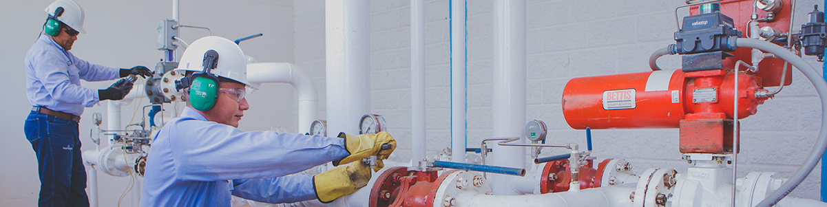 Es Conecciones O Conexiones